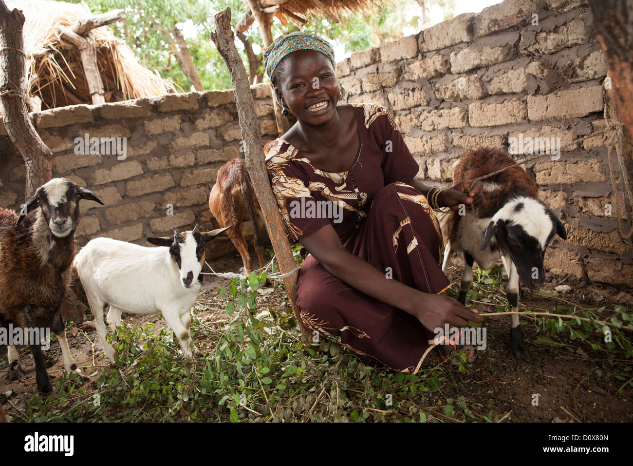 A woman raises goats in Doba, Chad, Africa Stock Photo - Alamy
