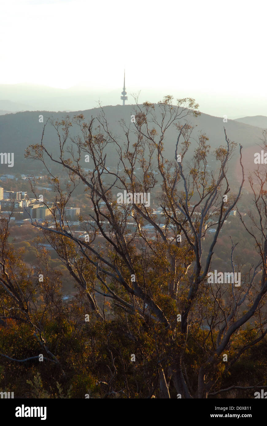 Canberra black mount tower hi-res stock photography and images - Alamy
