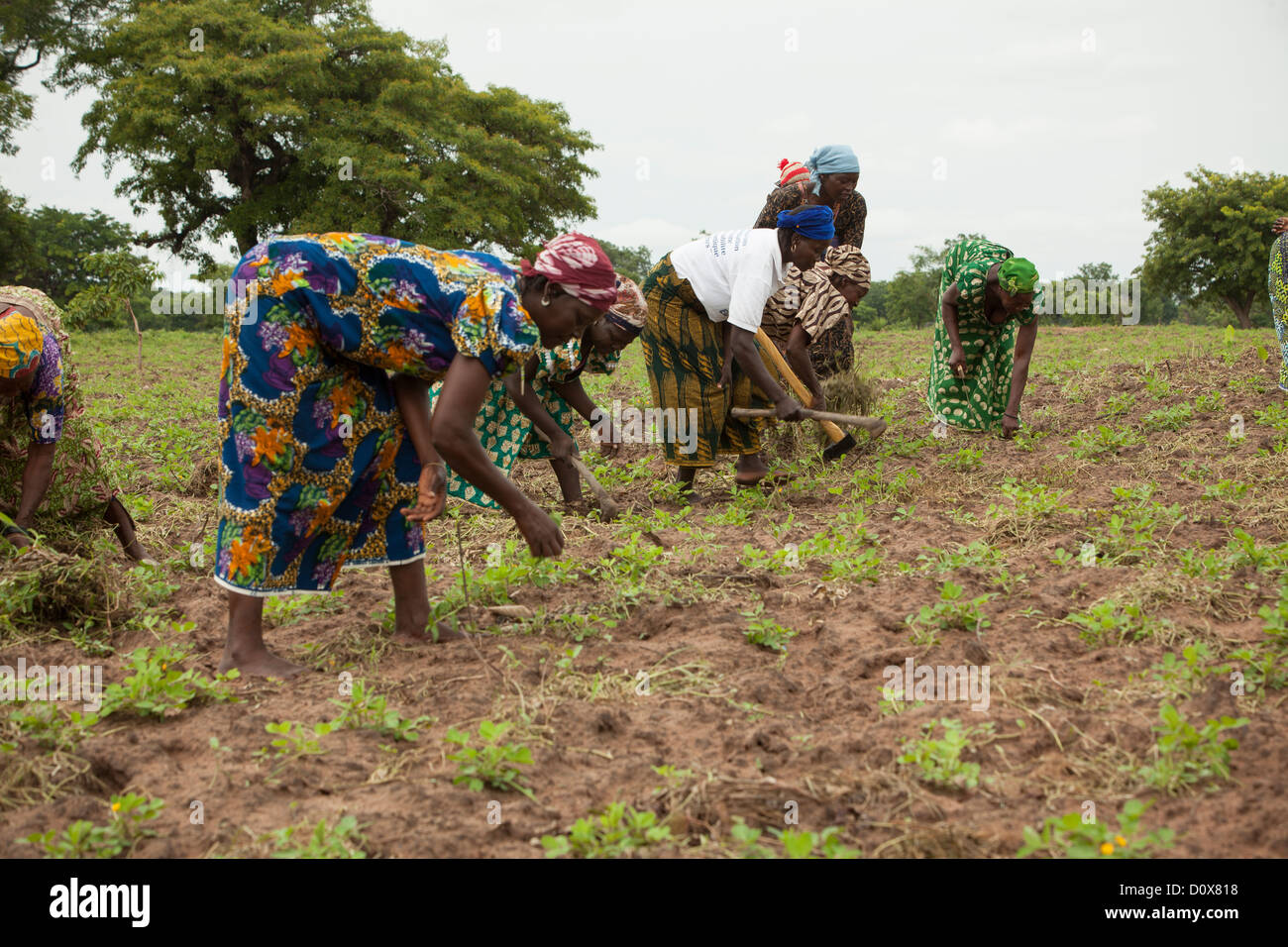Gardening old lady weeding hi-res stock photography and images - Alamy