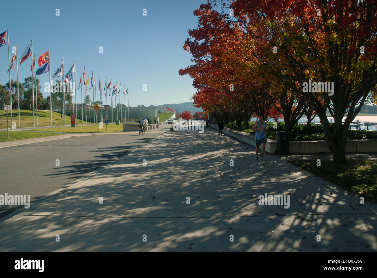 Autumn trees line Lake Burley Griffin, Commonwealth Place, Canberra ...