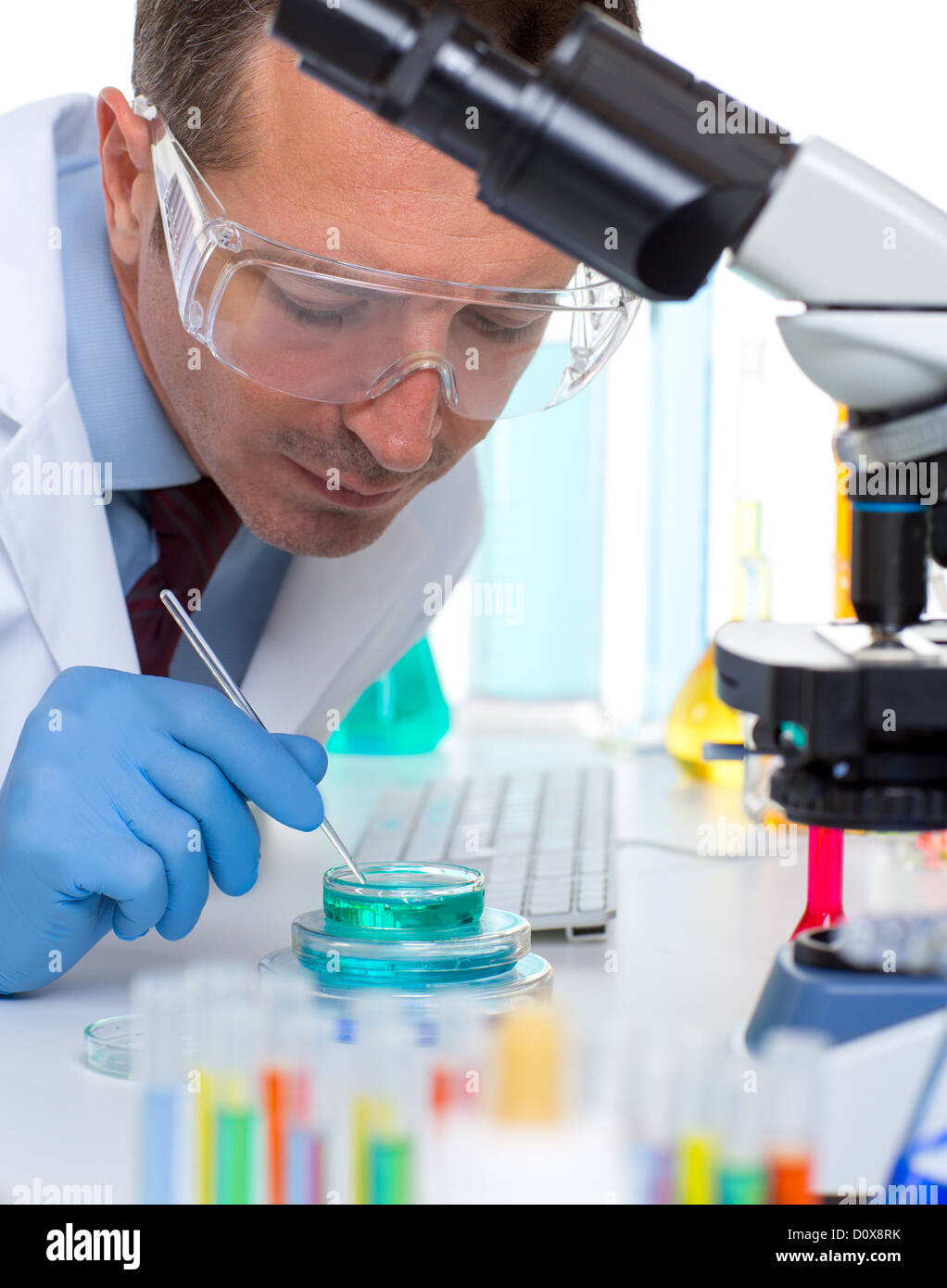 laboratory scientist working at lab with test tubes and microscope ...