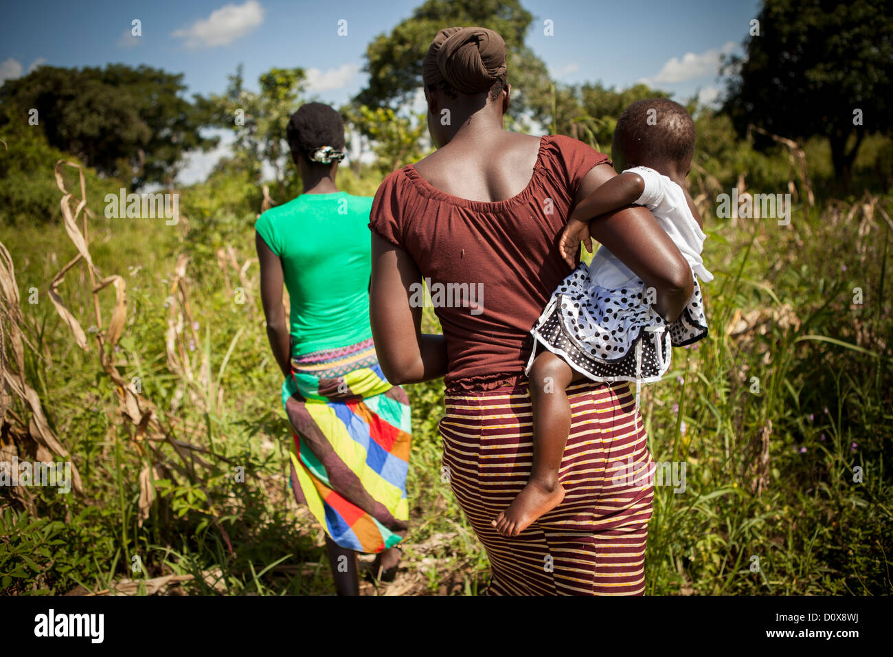 Women walk through a corn field in Kaberamaido, Uganda, East Africa ...