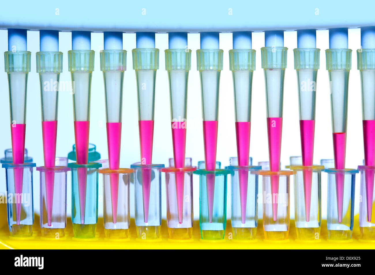 Chemical scientific laboratory multi channel pipette and test tubes ...