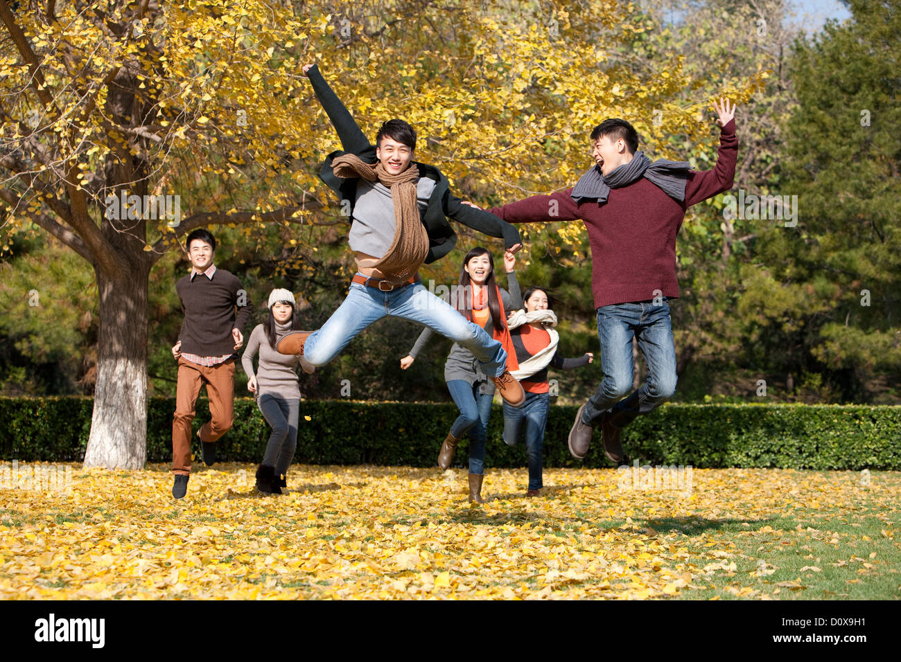 Excited young adults jumping on the lawn in autumn Stock Photo - Alamy