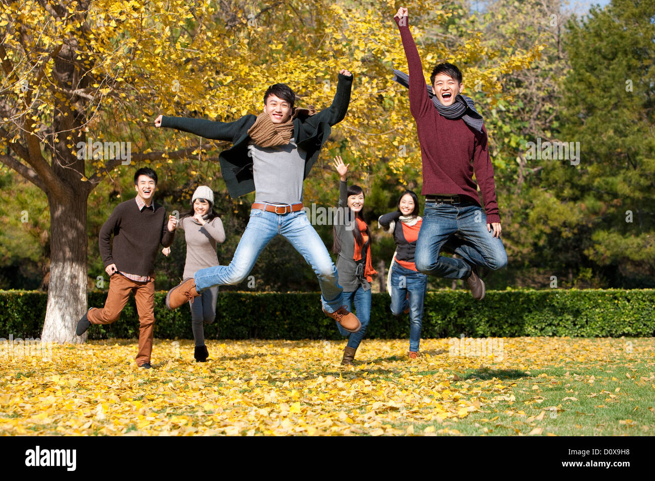 Excited young adults jumping on the lawn in autumn Stock Photo - Alamy
