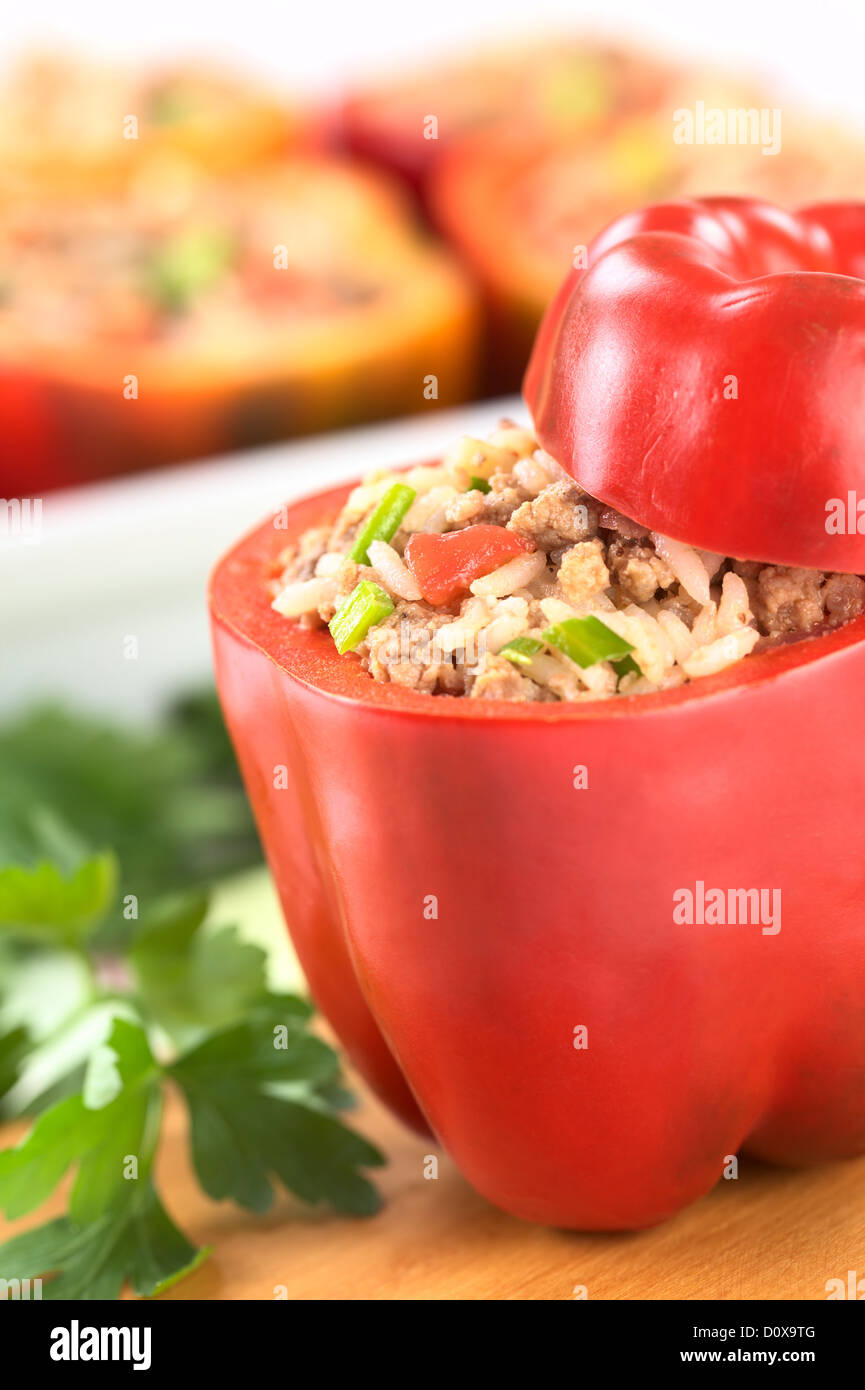 Unbaked stuffed red bell pepper filled with minced meat, onion, rice ...