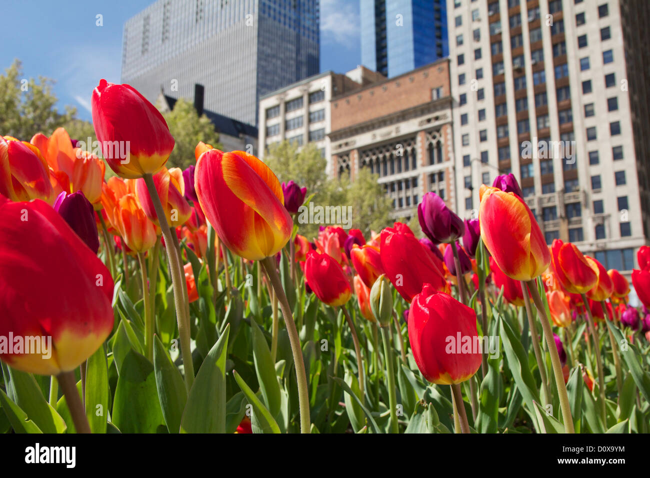 Chicago flower gardens hi-res stock photography and images - Alamy