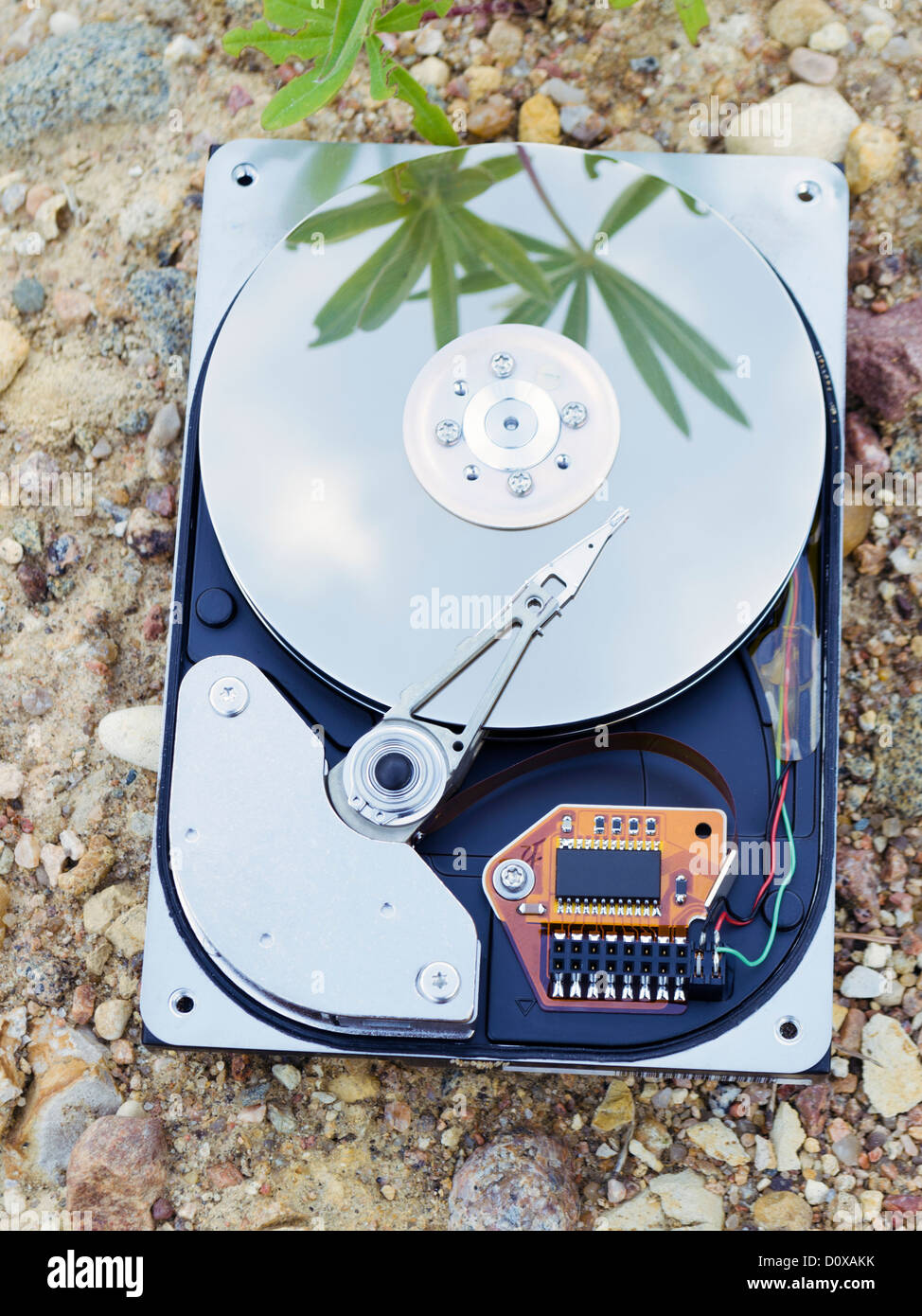 Hard Drive storage lays on the ground with sky and green plant ...