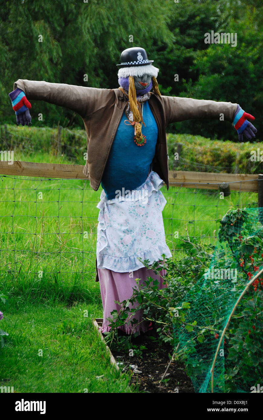 A scarecrow in a vegetable patch UK Stock Photo - Alamy