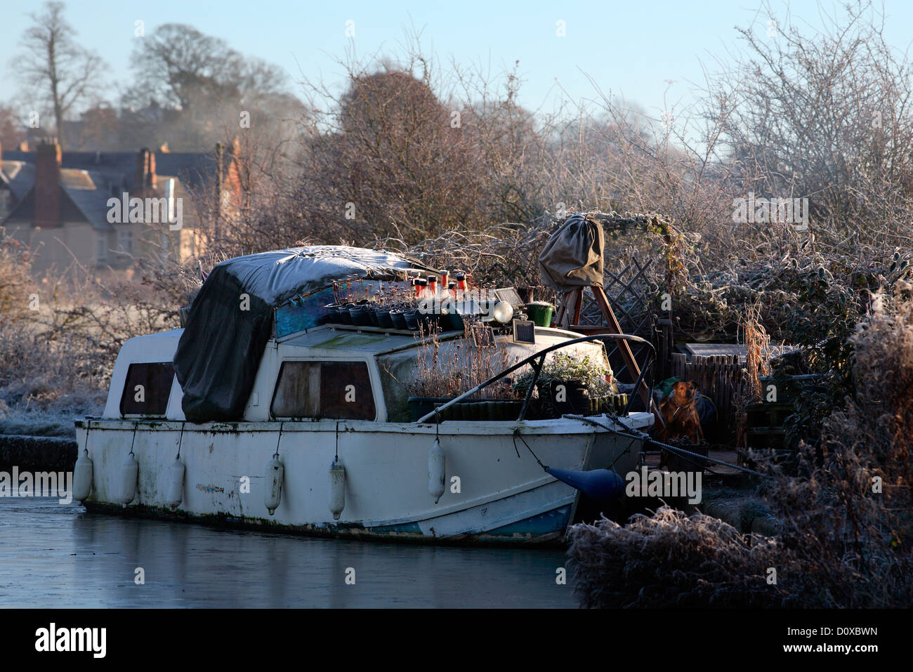 old cabin cruiser Stock Photo - Alamy