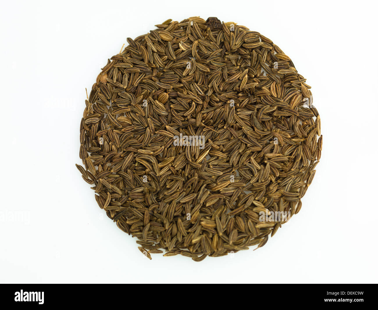 round spices on white background macro close-up detail colorful Stock ...