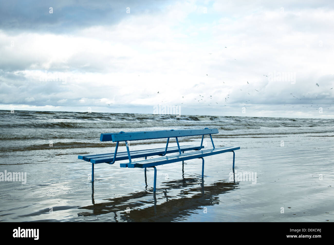 Bench on the beach Stock Photo - Alamy