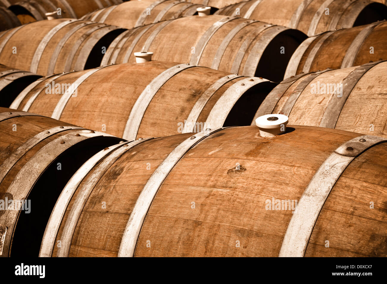Multiple Wine Barrels in a cellar Stock Photo - Alamy