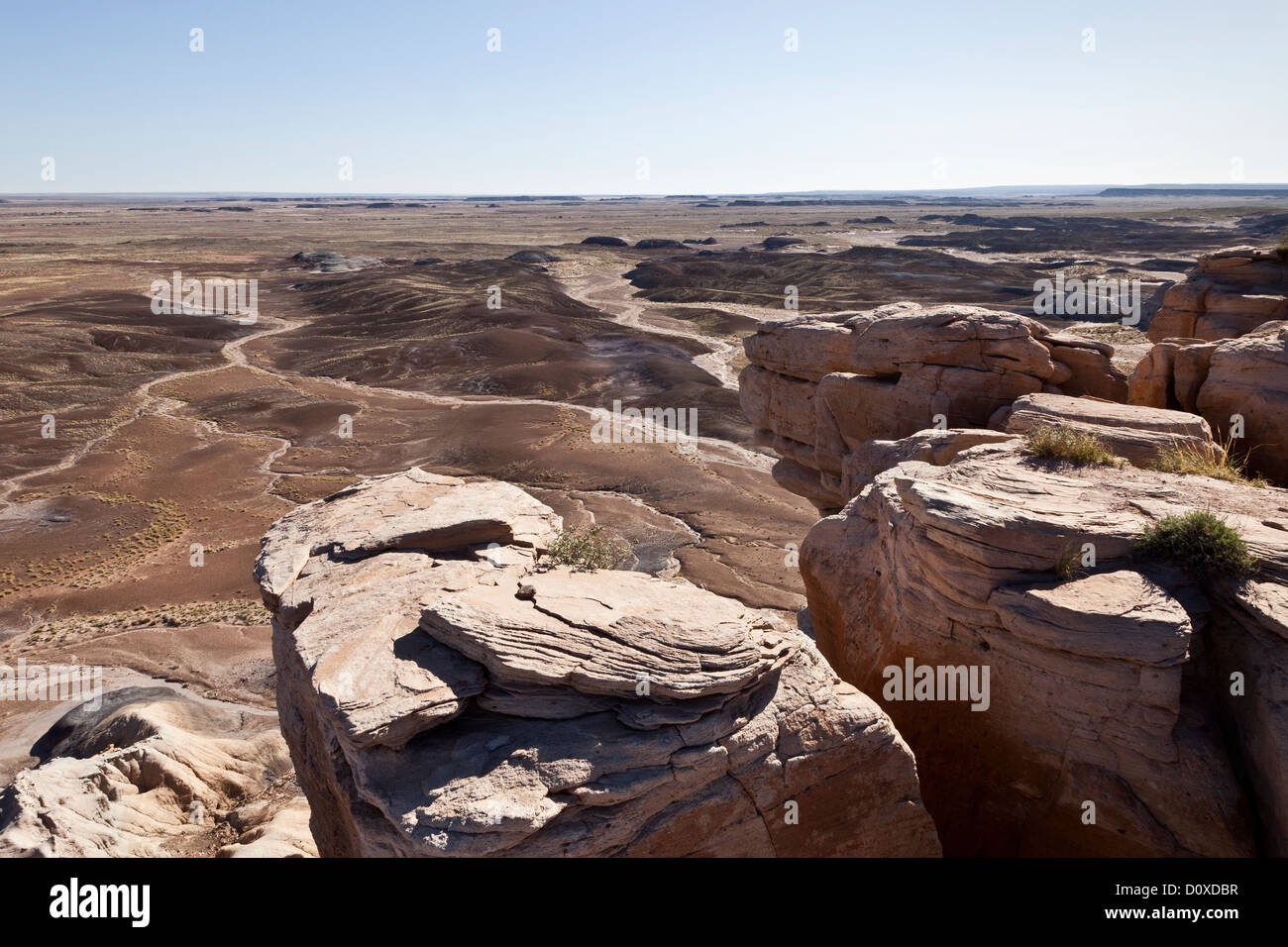 View across the Painted Desert from the Blue Mesa in the Petrified ...