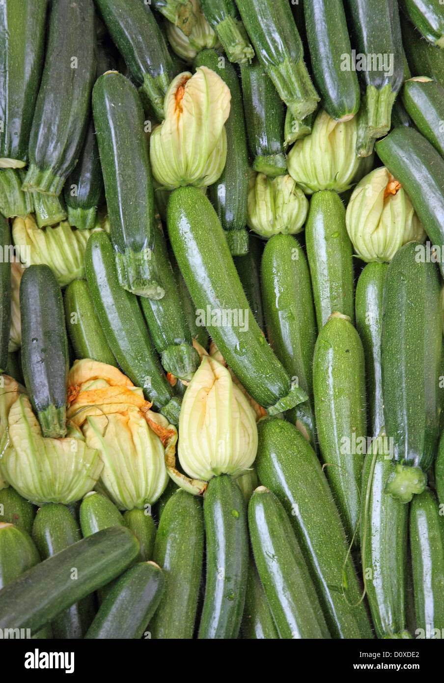 fresh green zucchini in your parts for sale at vegetable market Stock ...