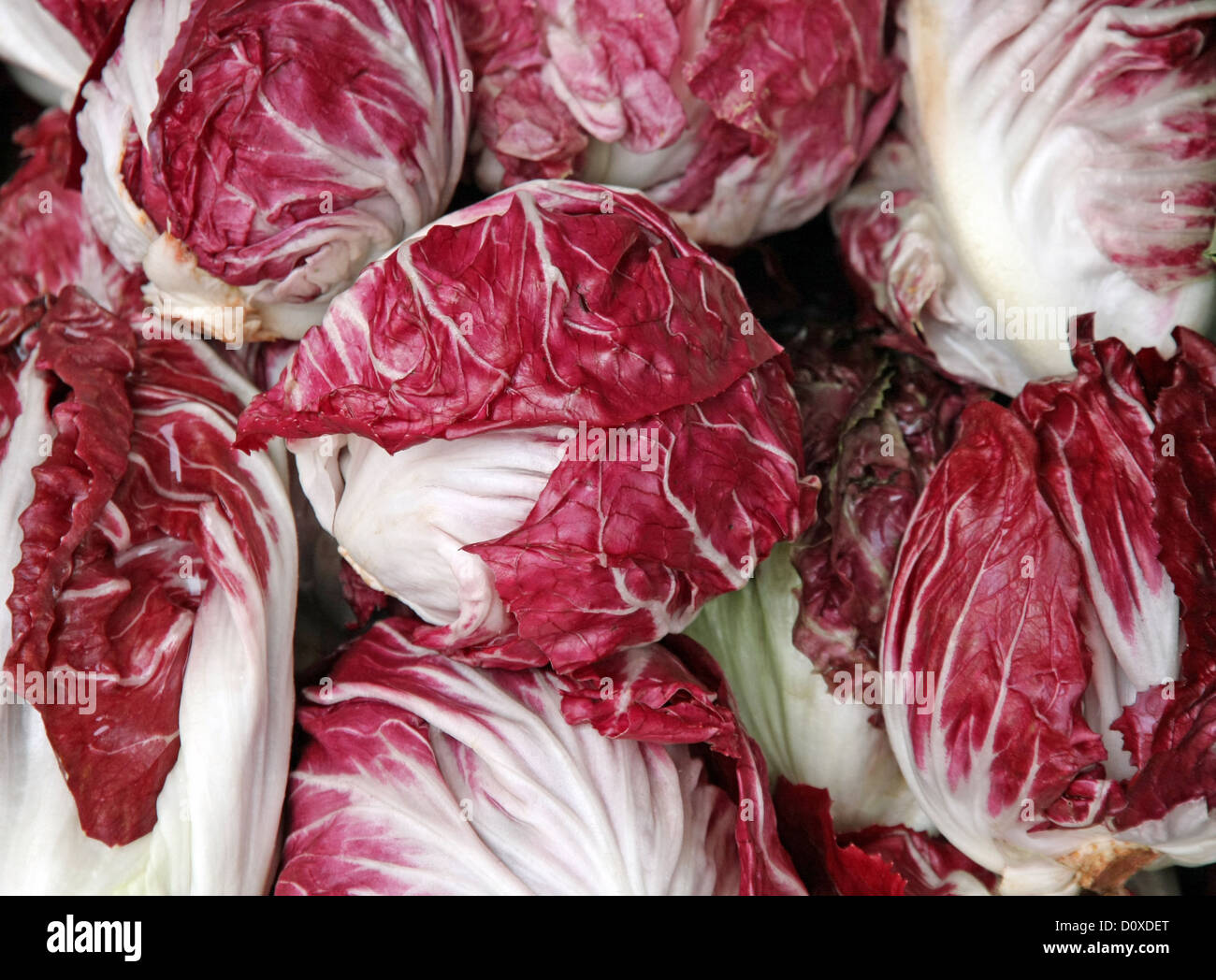 crunchy red radicchio heads for sale at vegetable market Stock Photo ...