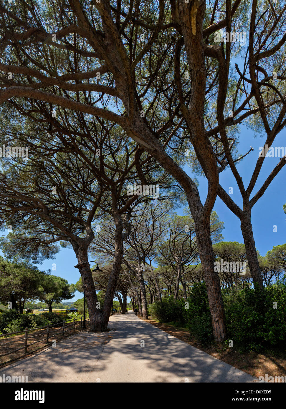 Ala italy hi-res stock photography and images - Alamy