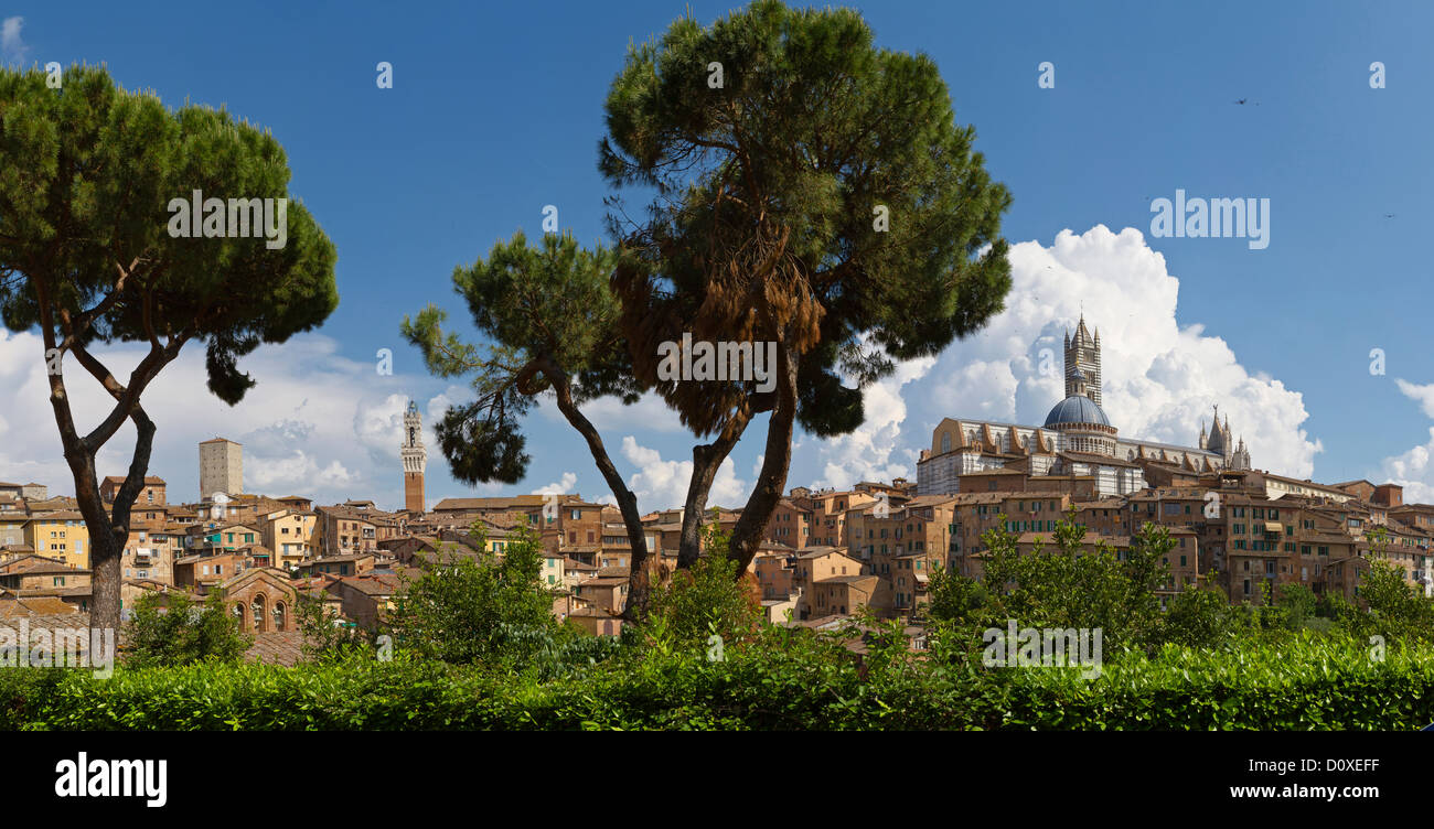 Toscana trees hi-res stock photography and images - Alamy