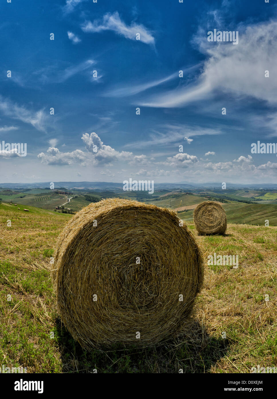 Hay fields hi-res stock photography and images - Alamy