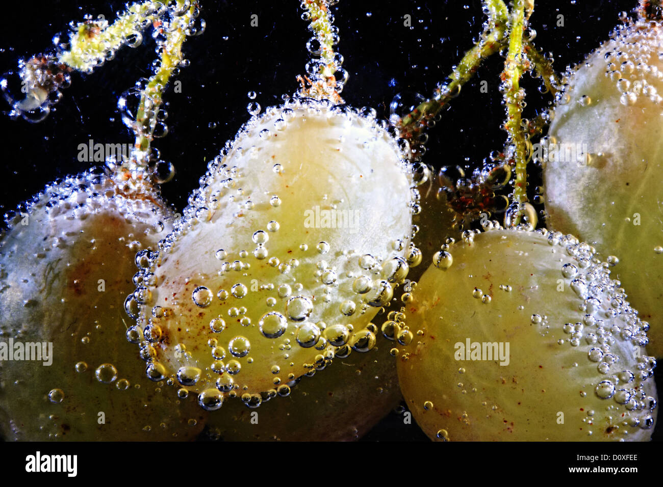 Grapes in bubbles Stock Photo - Alamy
