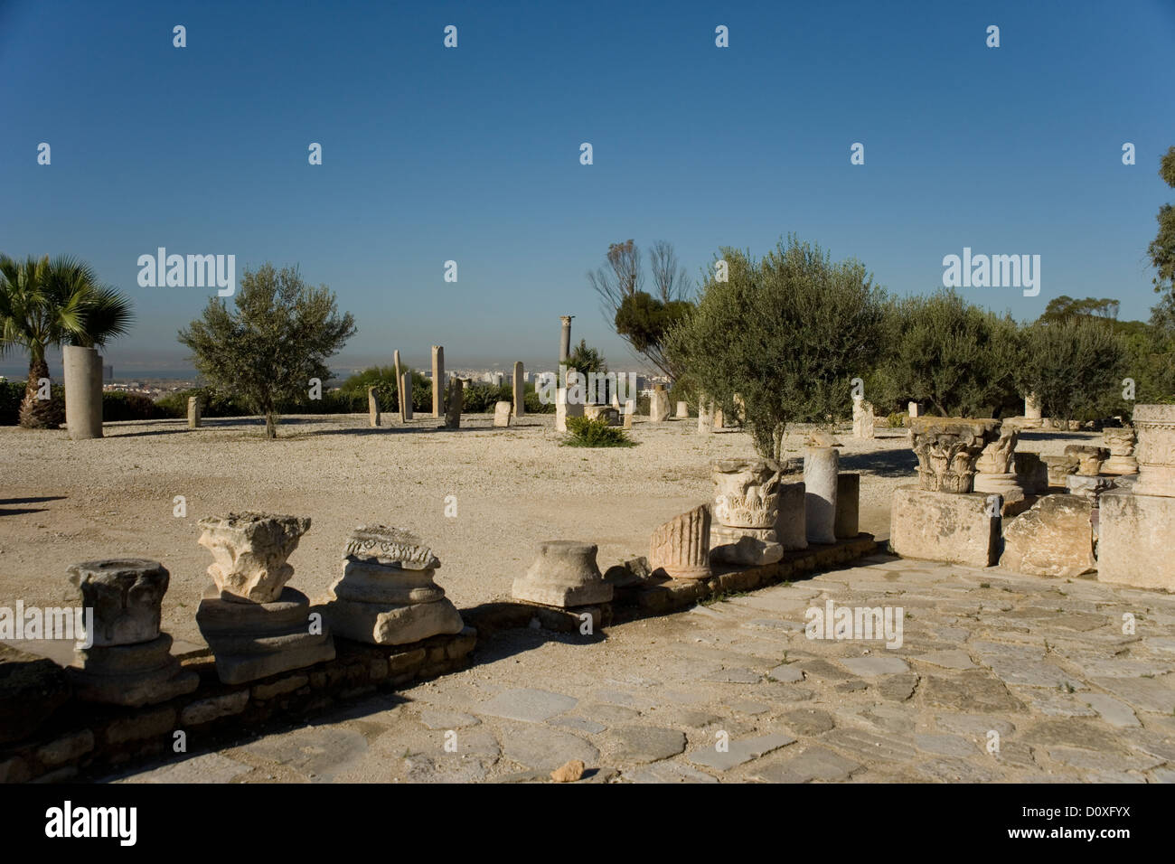 Byrsa hill view hi-res stock photography and images - Alamy