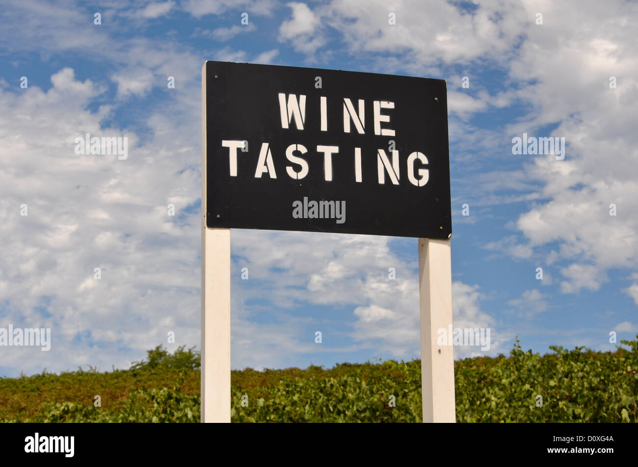 Wine Tasting Sign at Vineyard in California with Blue Sky Stock Photo ...