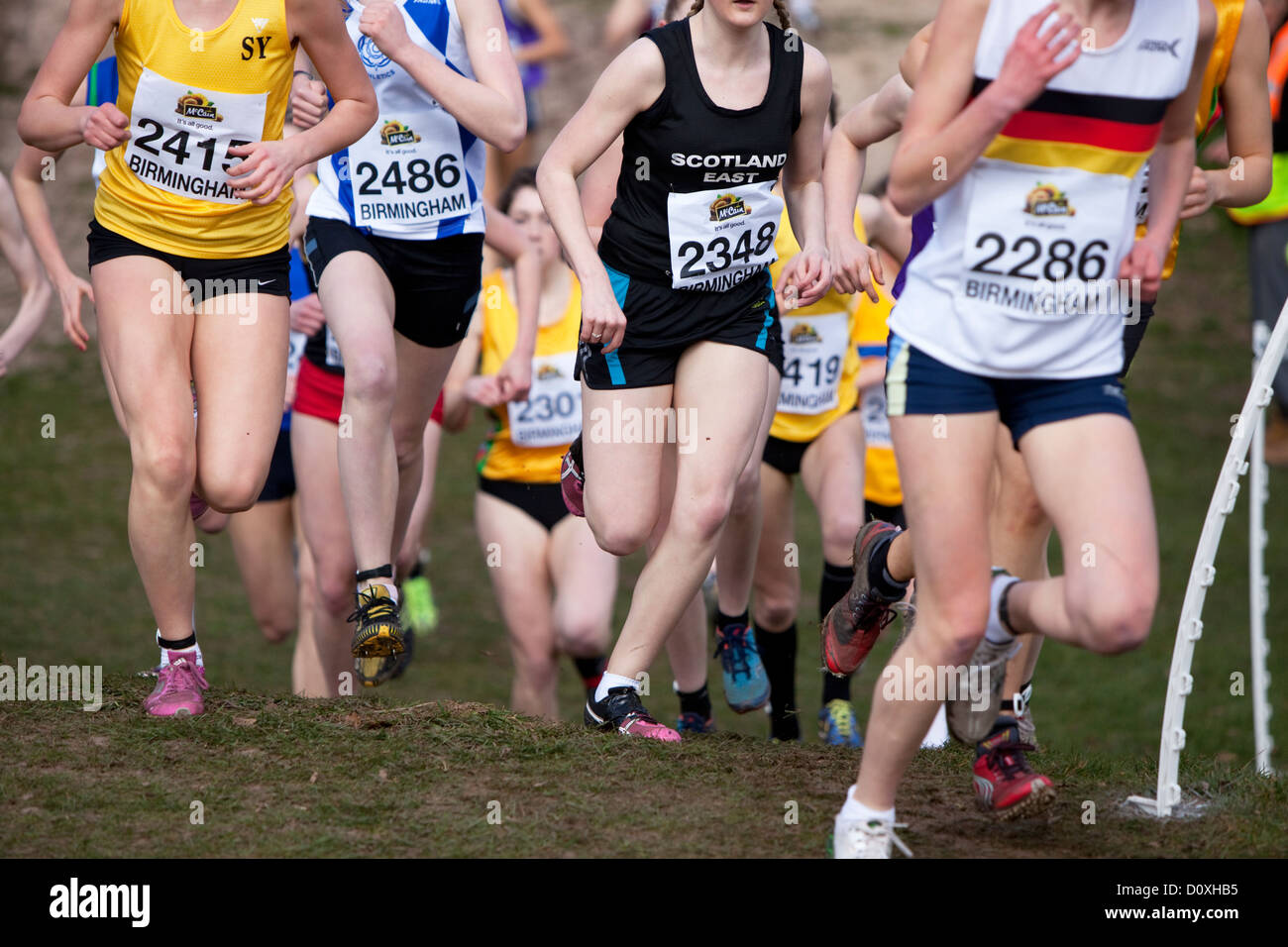 Ladies Cross Country running, England, UK Stock Photo - Alamy