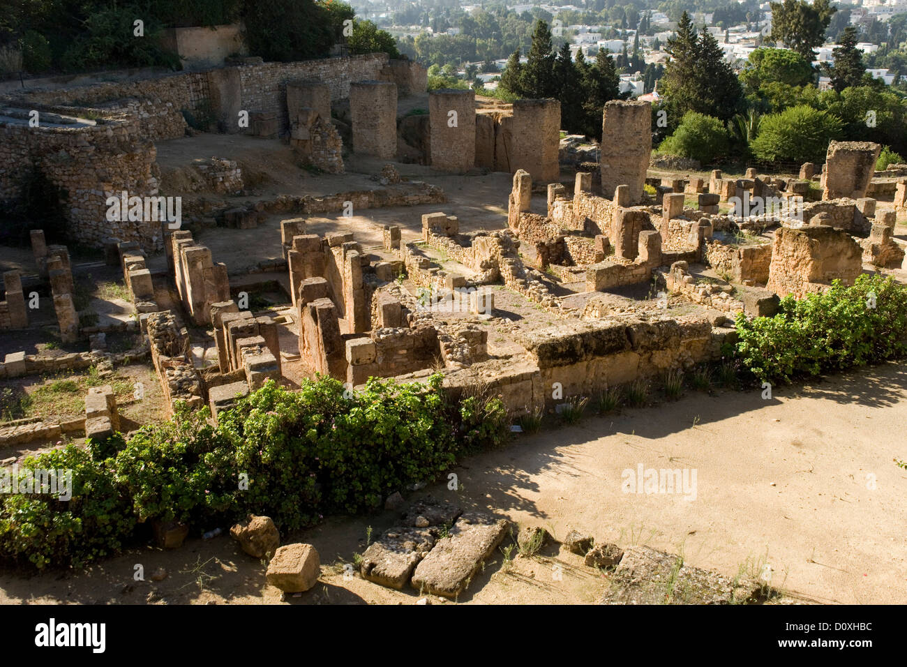 Byrsa hill view hi-res stock photography and images - Alamy