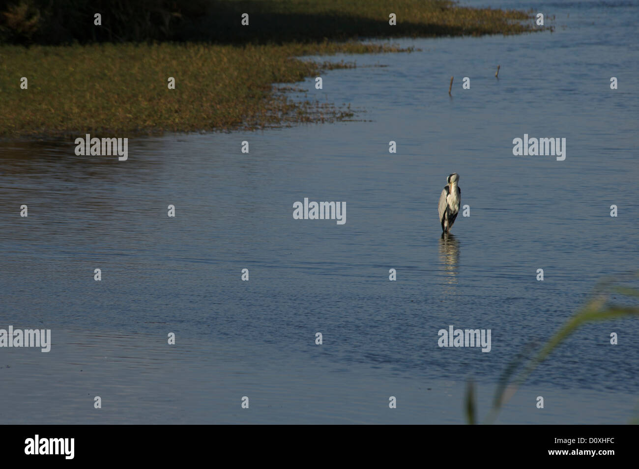 Huleh valley hi-res stock photography and images - Alamy
