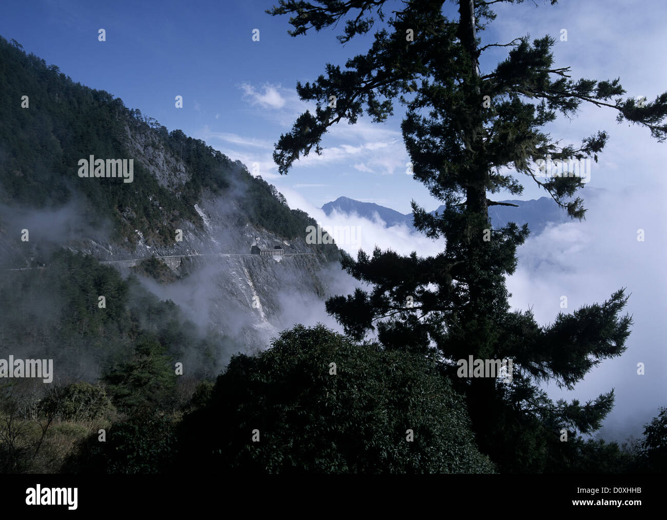 Asia, Taiwan, mountains, mountains, woods, forests, trees, scenery ...