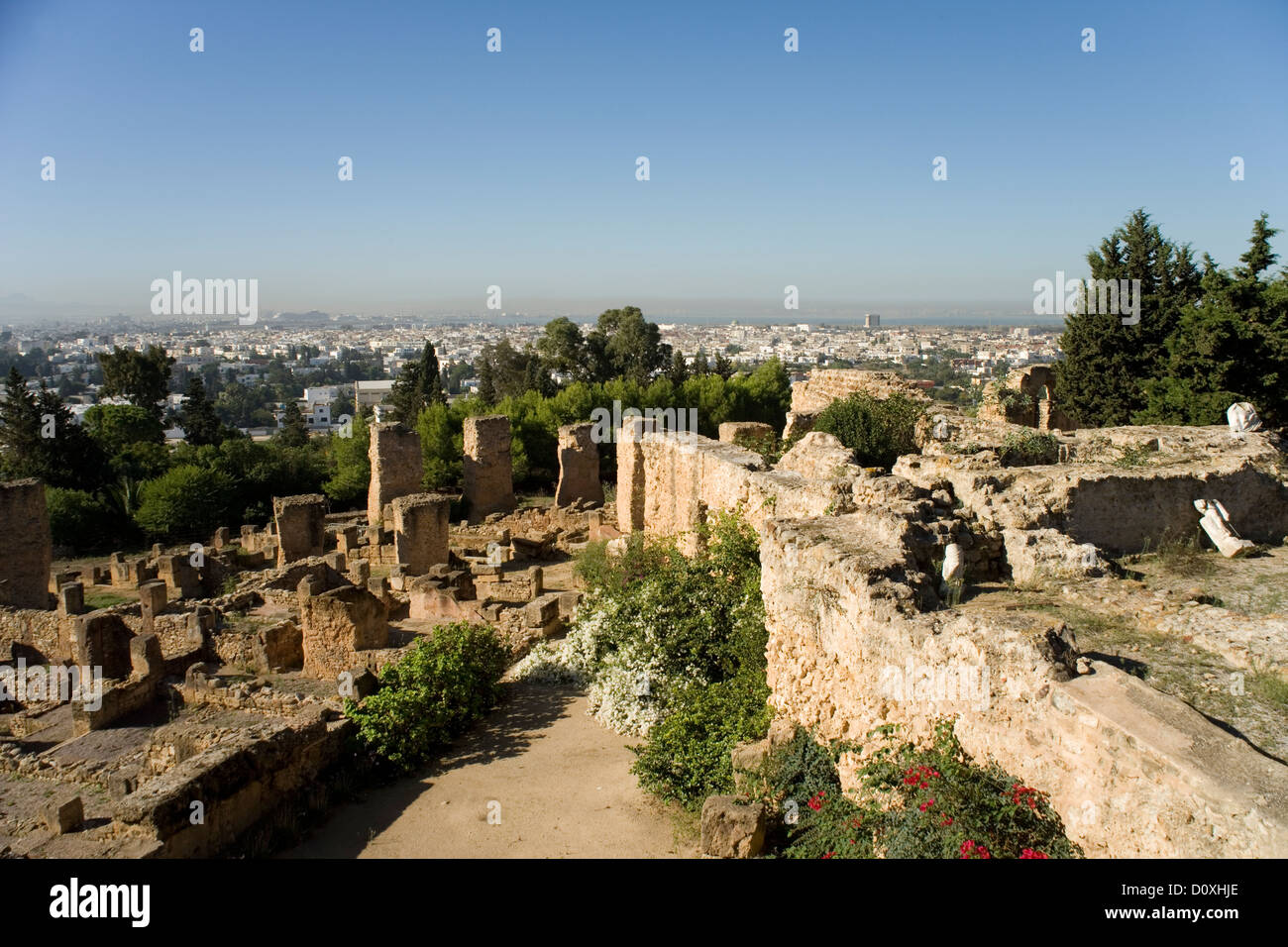View from Byrsa Hill in Carthage over Tunis, Tunisia Stock Photo - Alamy