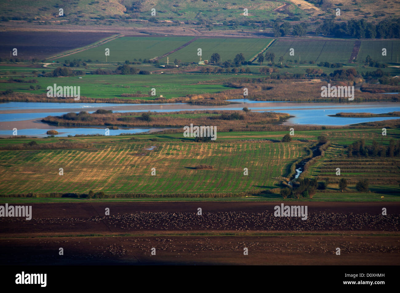 Huleh Valley Nature Reserve Stock Photo - Alamy