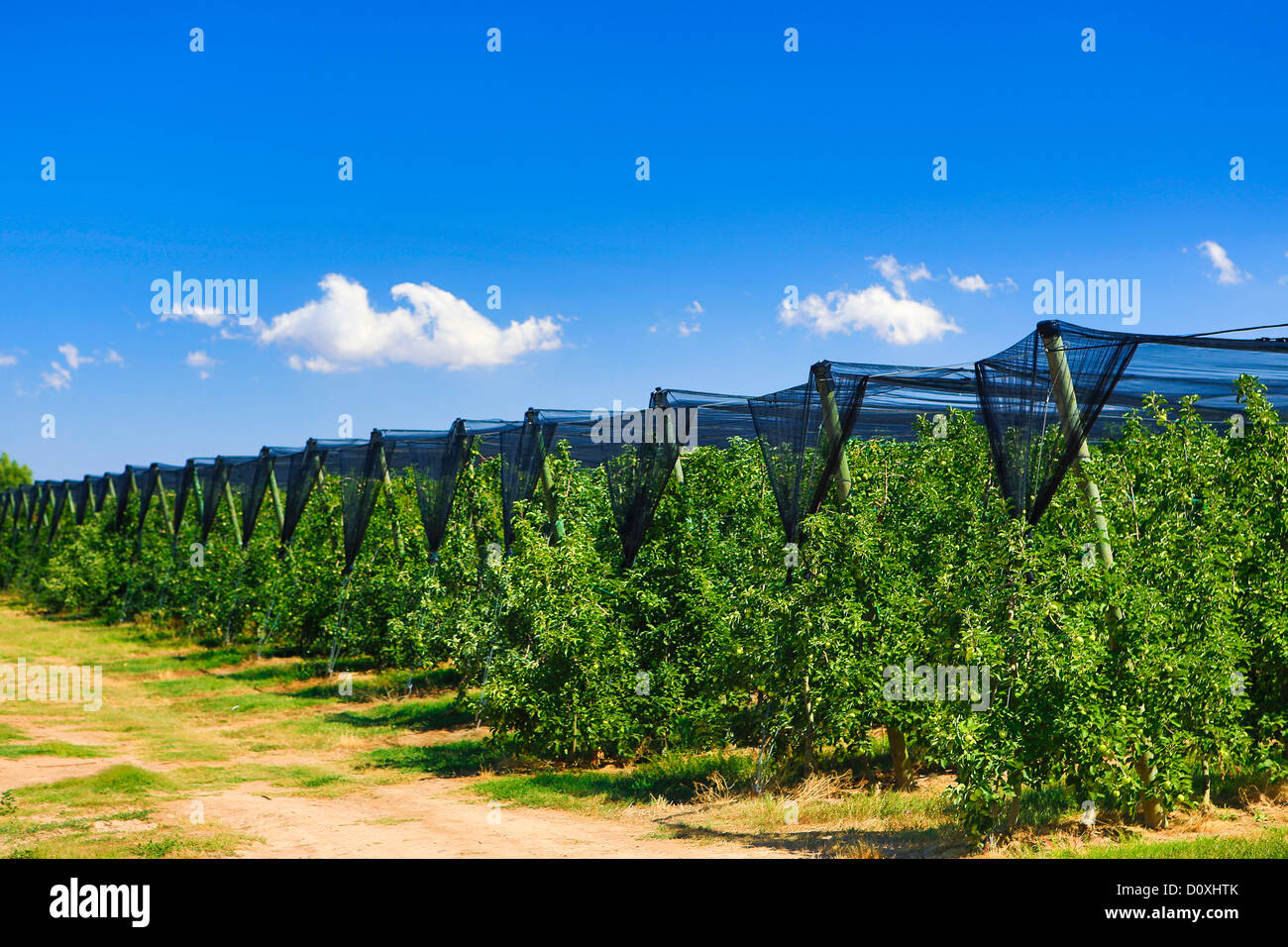 Lérida spain hi-res stock photography and images - Alamy