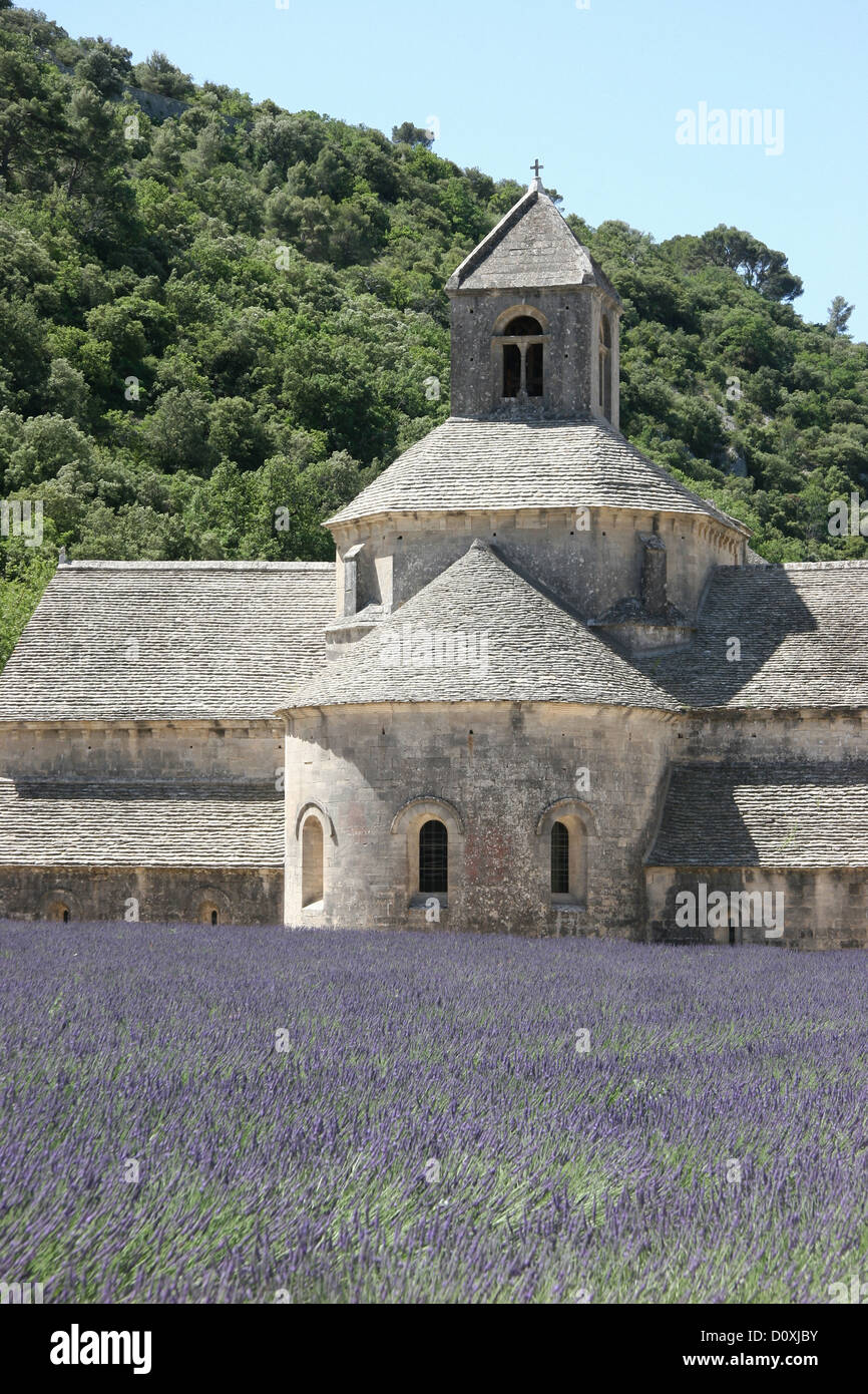 France, Europe, Provence, Abbaye Notre Dame de Sénanque, Senanque ...