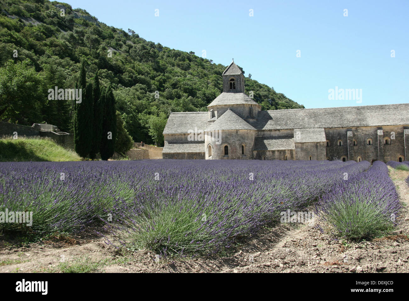 Abbaye notre dame de senanque provence hi-res stock photography and ...