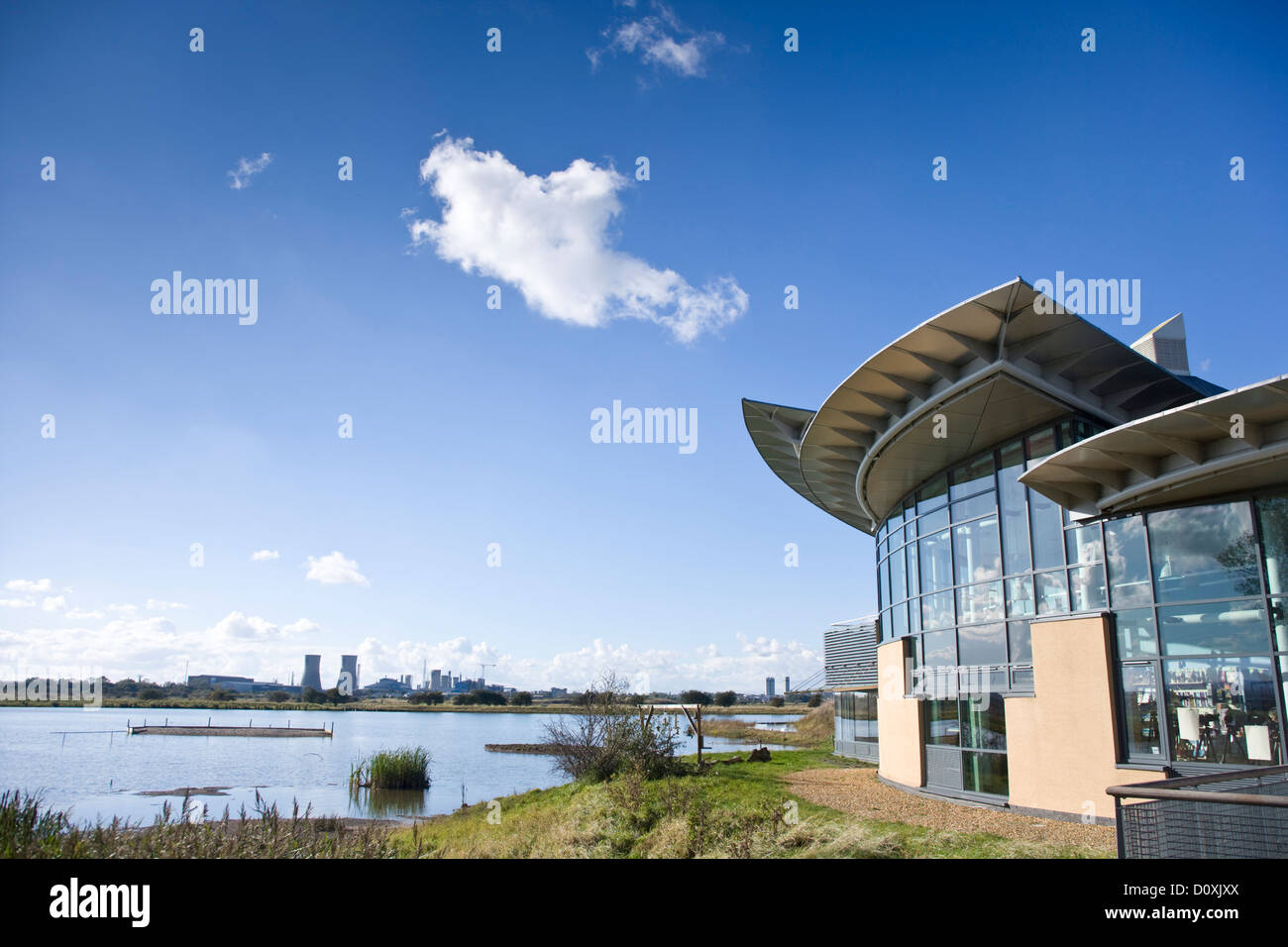 Saltholme rspb hi-res stock photography and images - Alamy