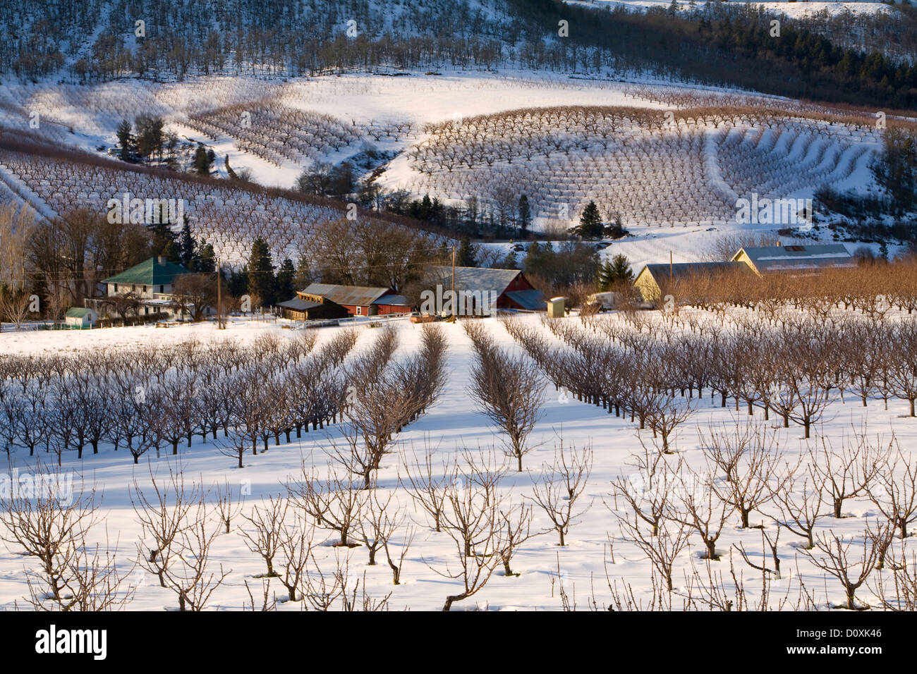 Orchard barn hi-res stock photography and images - Alamy