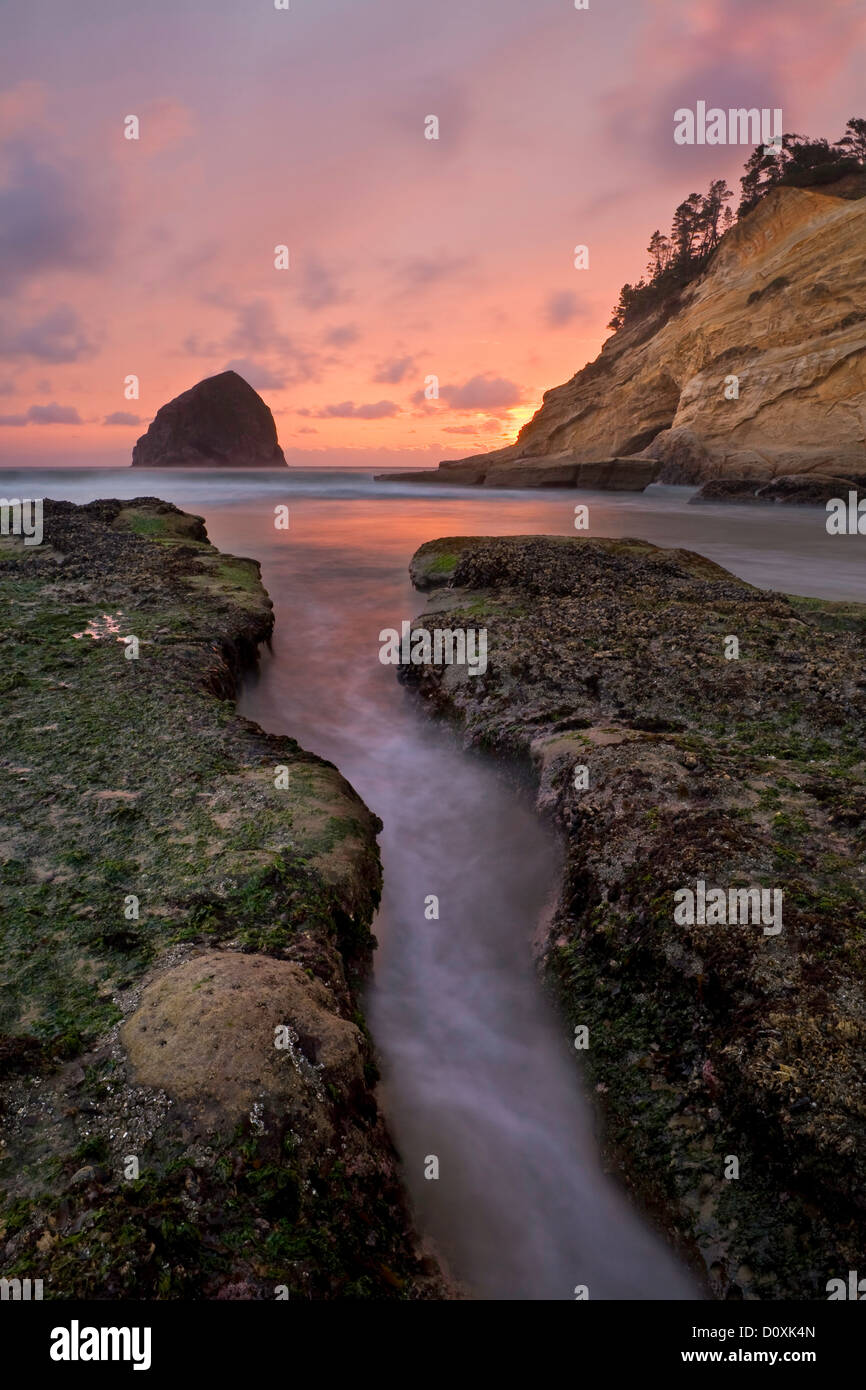 Seastack hi-res stock photography and images - Alamy