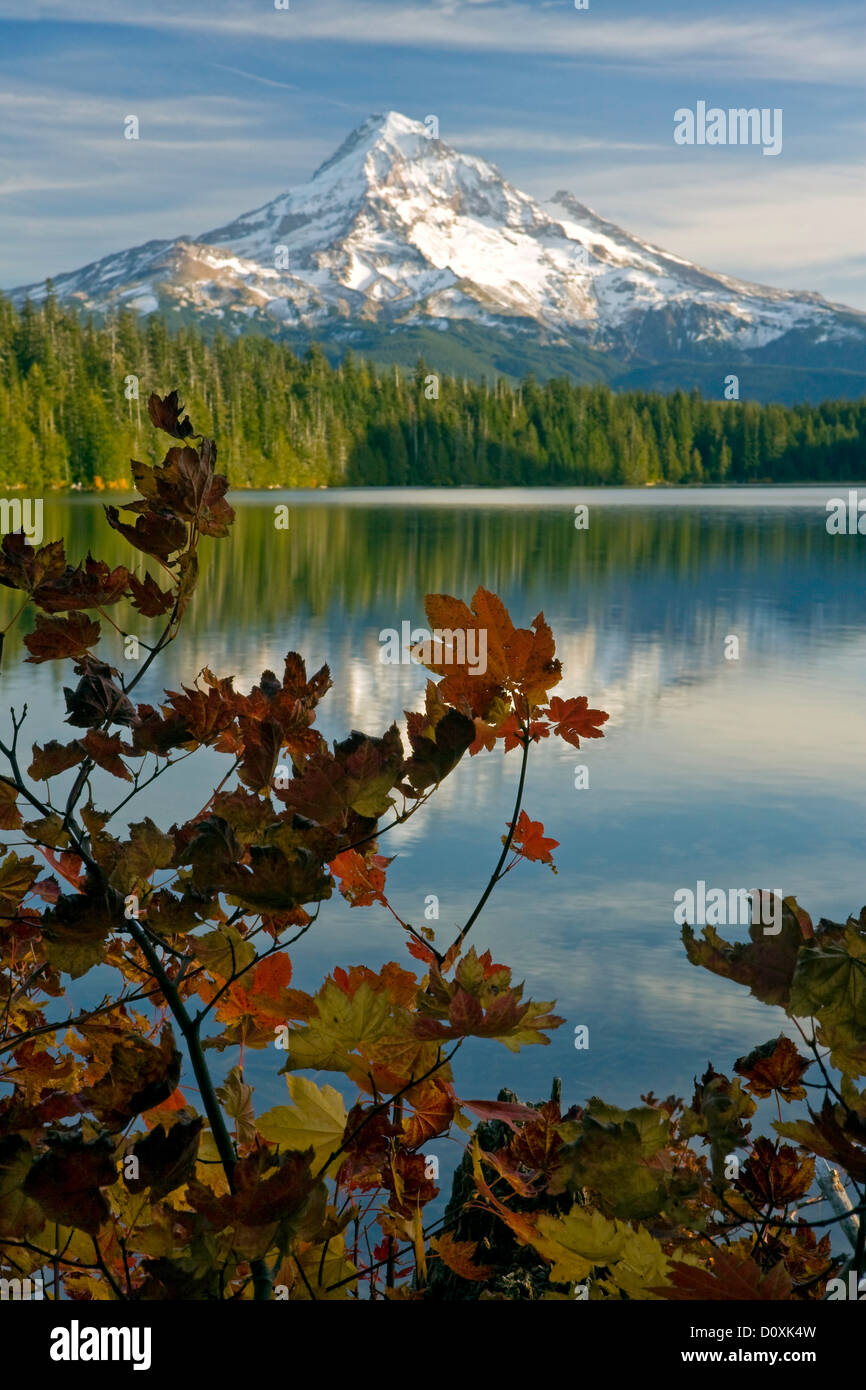 USA, Mt Hood, Mount Hood, OR, Oregon, lake, Lost Lake, fall, alpine ...