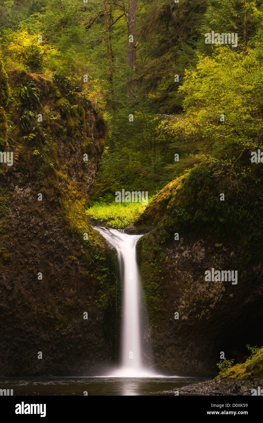 USA, falls, cascade, gorge, Columbia River Gorge, OR, Oregon, water ...
