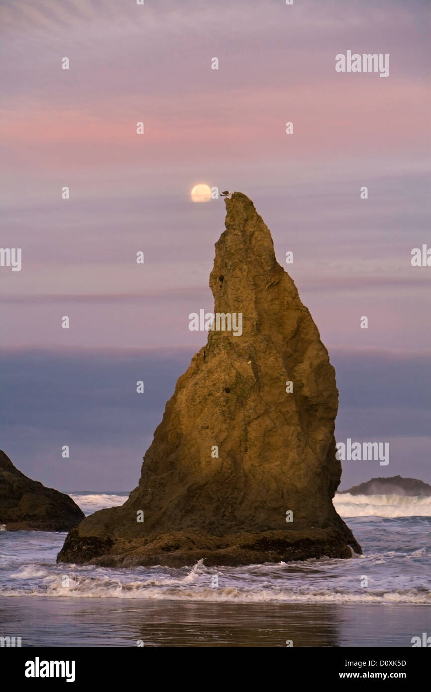 USA, Bandon, Bandon Beach, OR, Oregon, sea stack, moon, lunar, moon set ...