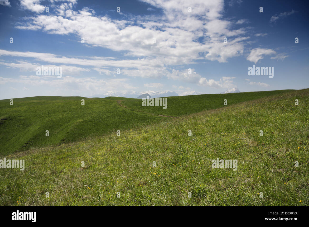 Mountain peaks and grasslands hi-res stock photography and images - Alamy