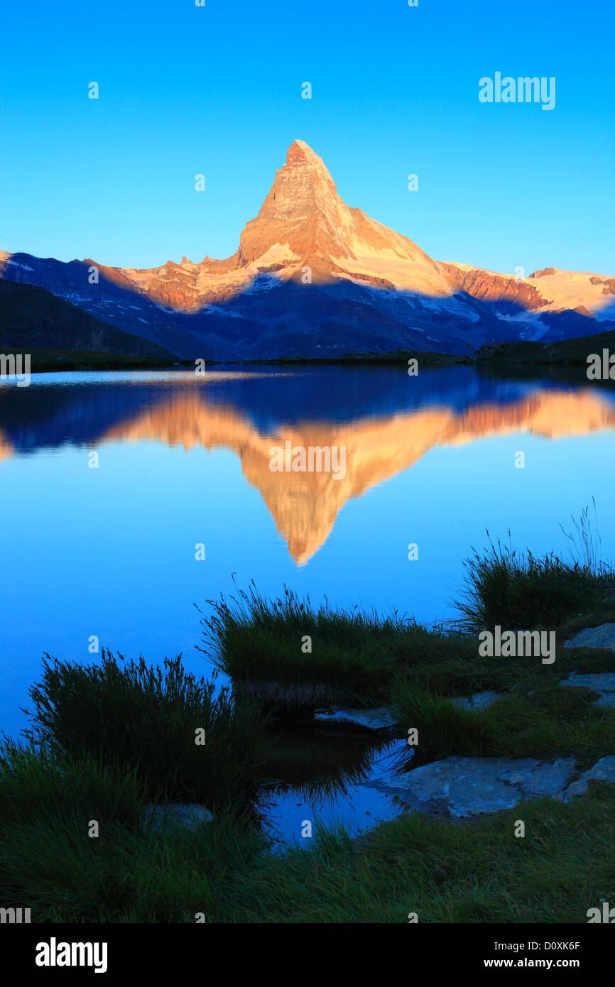 Alps, Alpine panorama, view, tree, mountain, mountains, panorama ...