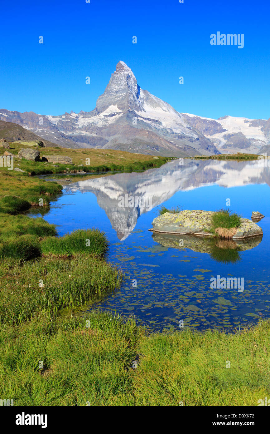 Alps, Alpine panorama, view, tree, mountain, mountains, panorama ...