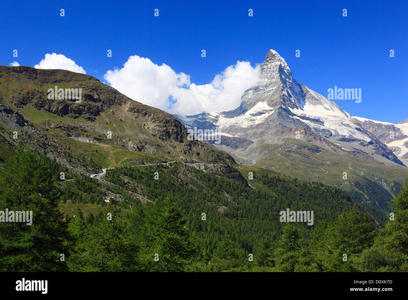 Alps, Alpine panorama, view, tree, mountain, mountains, panorama ...