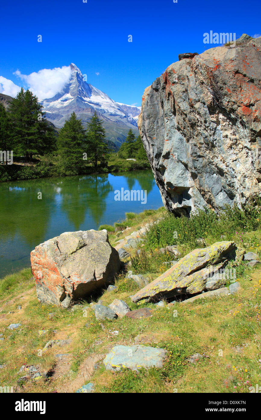 Alps, Alpine panorama, view, tree, mountain, mountains, panorama ...