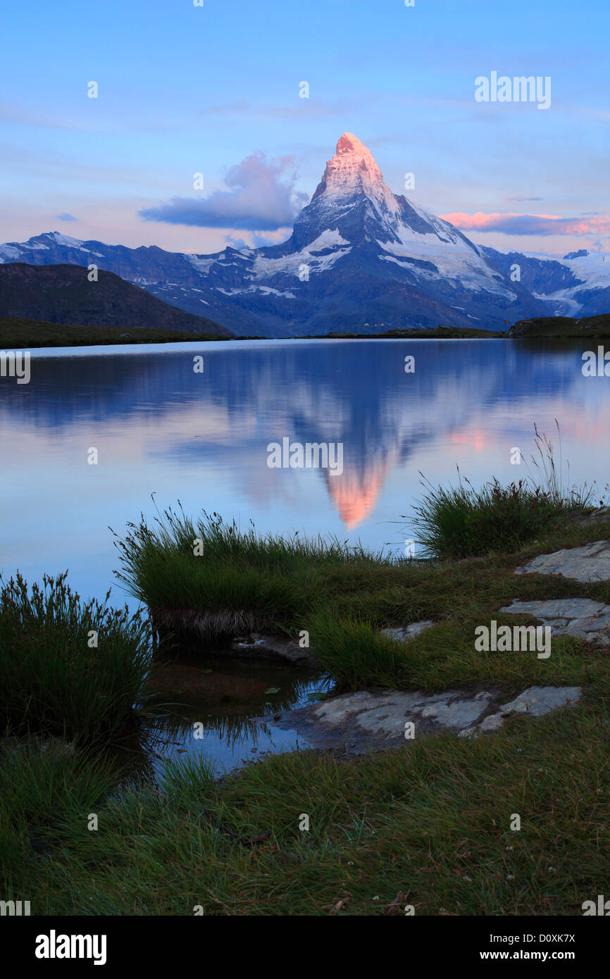 Alps, Alpine panorama, view, tree, mountain, mountains, panorama ...