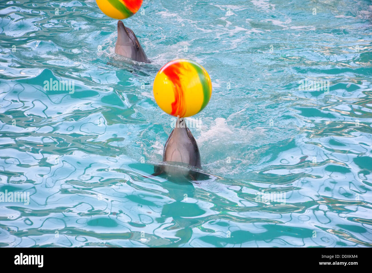 Swimming balls hi-res stock photography and images - Alamy