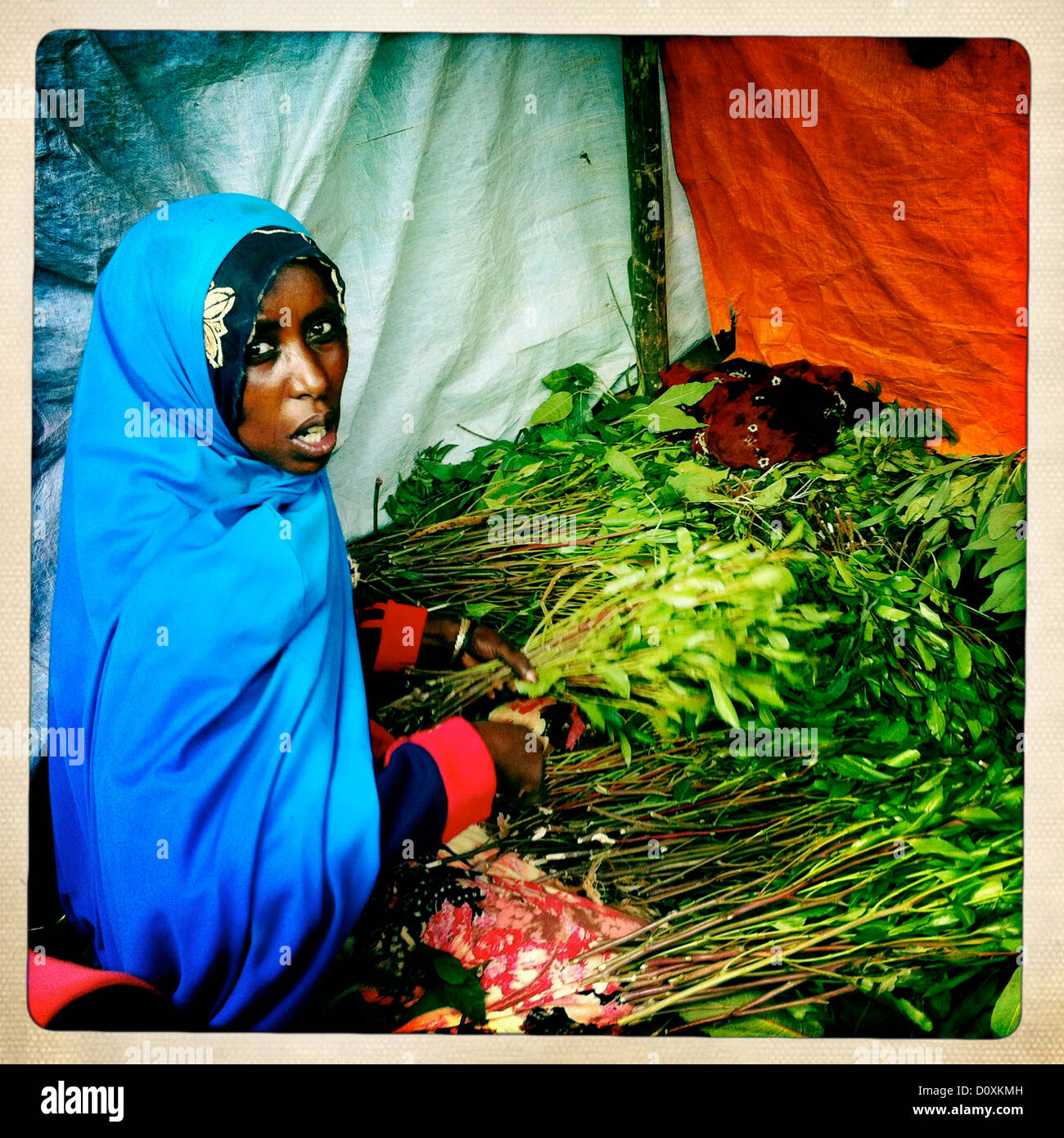 Awaday khat market near Harar Ethiopia Stock Photo - Alamy