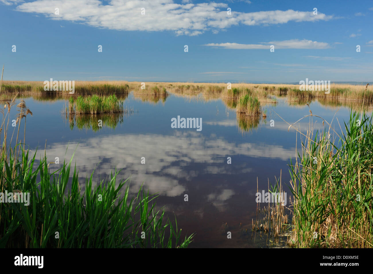 Illmitz hi-res stock photography and images - Alamy